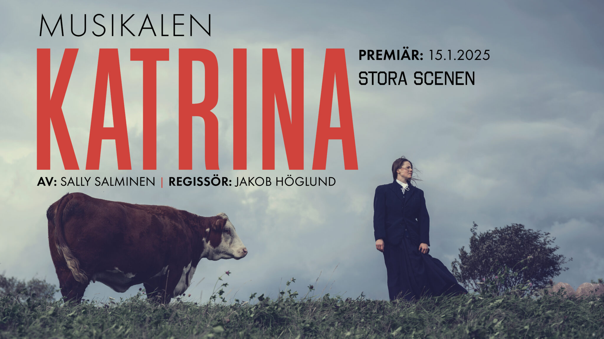 Wasa Teater - Lokala upplevelser i världsklass